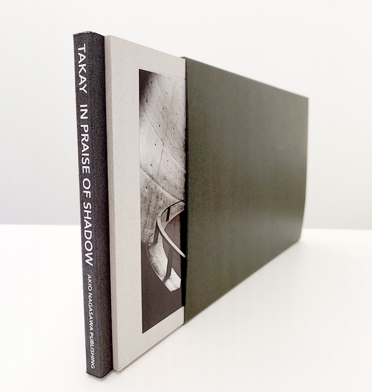 IN PRAISE OF SHADOW (HOMAGE TO TADAO ANDO)